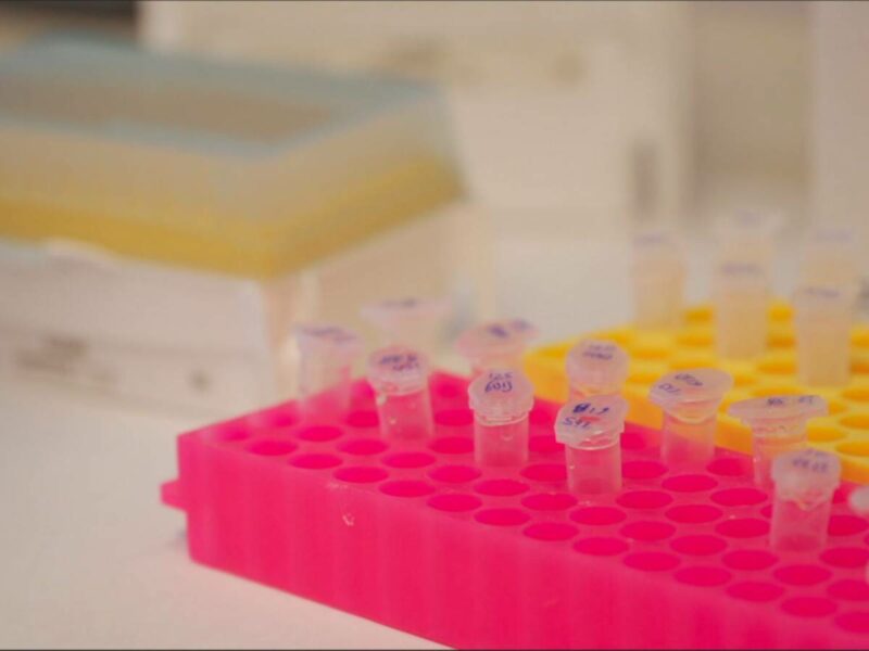 Whole genome short-read sequencing (Illumina) - Eurecat Labs