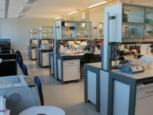 Food safety and ecotoxicity protocols - Eurecat Labs