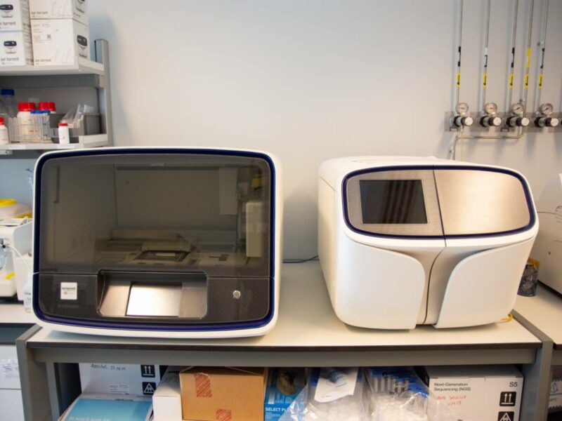 Capillary electrophoresis fragment analysis - Eurecat Labs