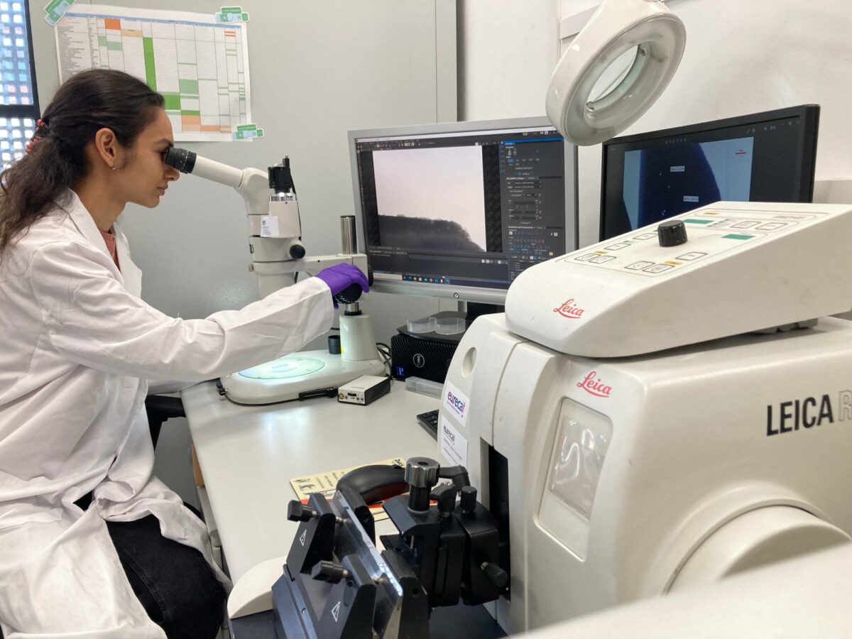 Análisis de estructura interna y defectos de proceso - Eurecat Labs